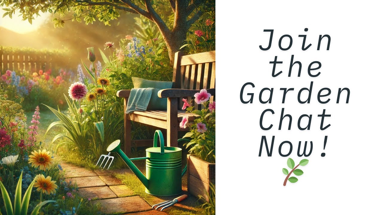 Garden Chat & Weather Check-In | Let's Talk Gardening! ☀️🌧️ ️ - YouTube