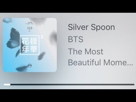 SILVER SPOON lyrics (뱁새) - BTS - YouTube