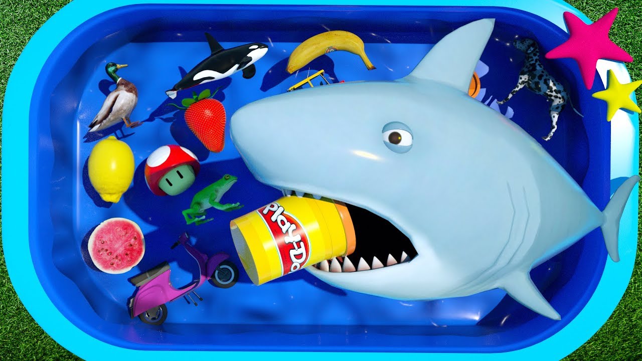 Learn Wild Zoo Animal Names in Pool Water full of Toys Safari Education ...