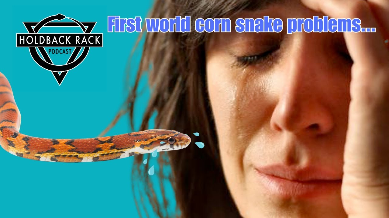 HRP 101 - I got 99 corn snake problems... - YouTube