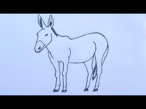 How to draw donkey easy and simple/donkey drawing - YouTube