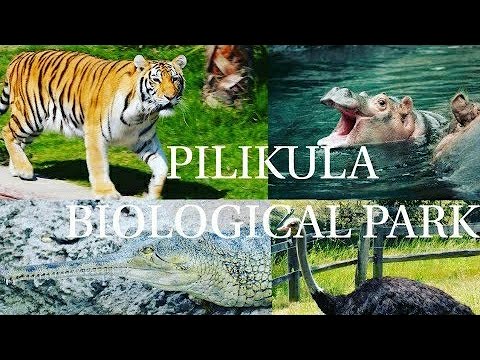 Pilikula Zoo Mangalore - YouTube