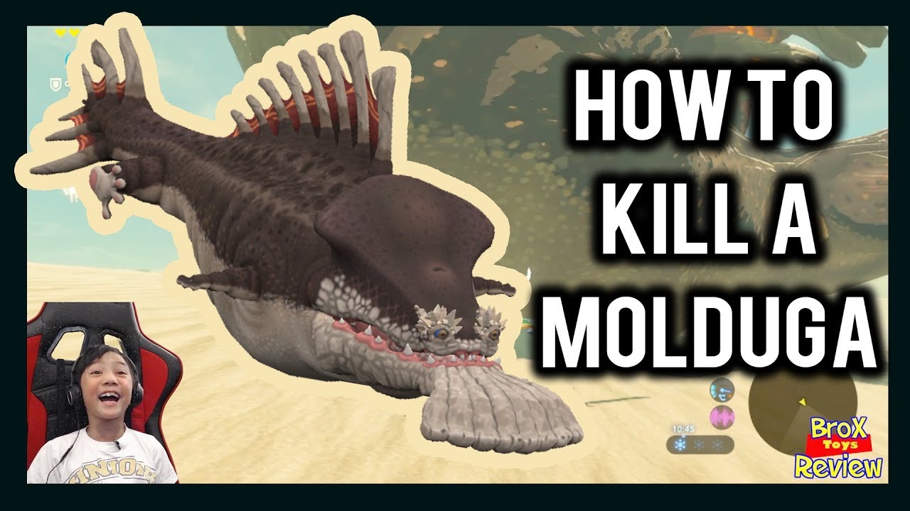 The Legend of Zelda Breath of the wild: Molduga monster - YouTube