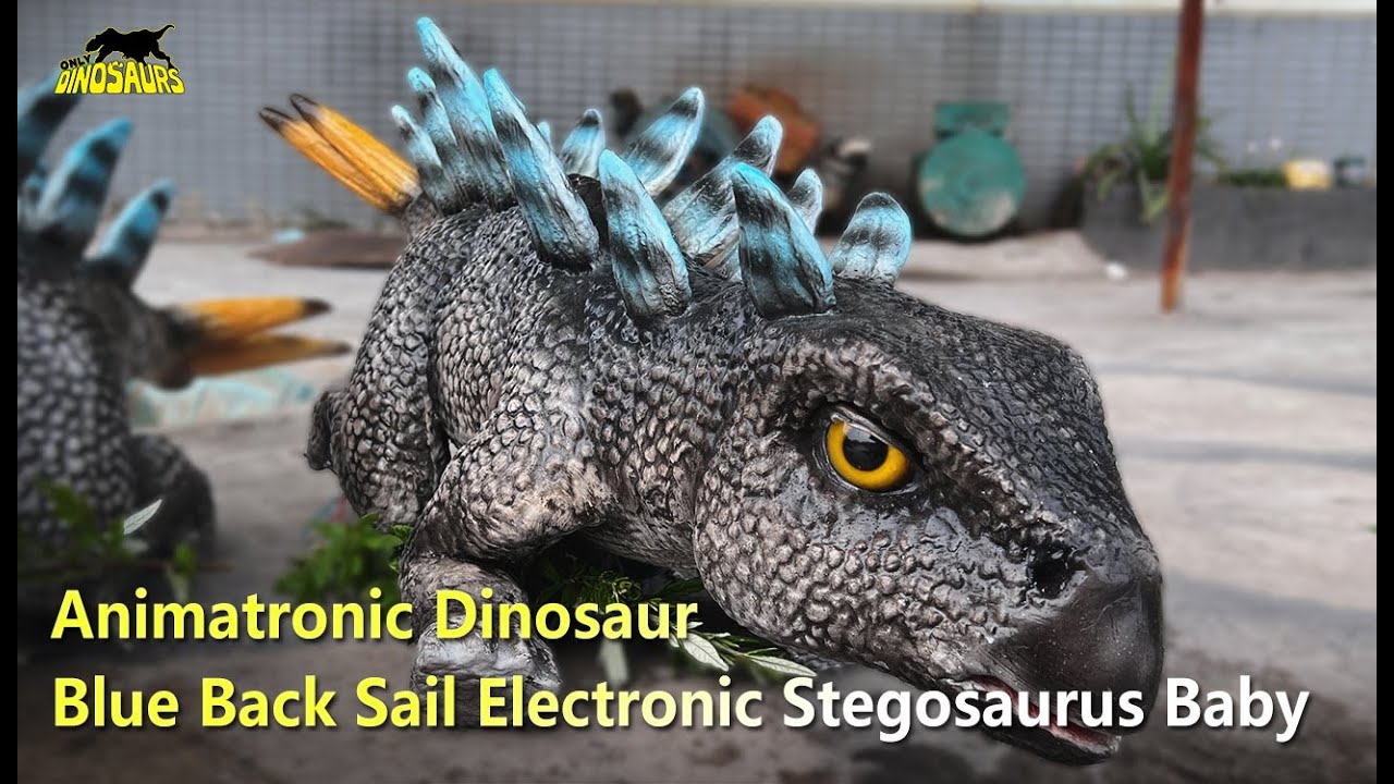 Fantasy Blue Back Sail Electronic Stegosaurus Baby | Animatronic ...
