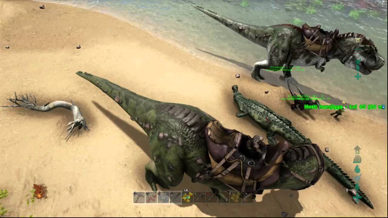 We Tamed A Sarco ARK: SURVIVAL EVOLVED (XBOX ONE) - YouTube