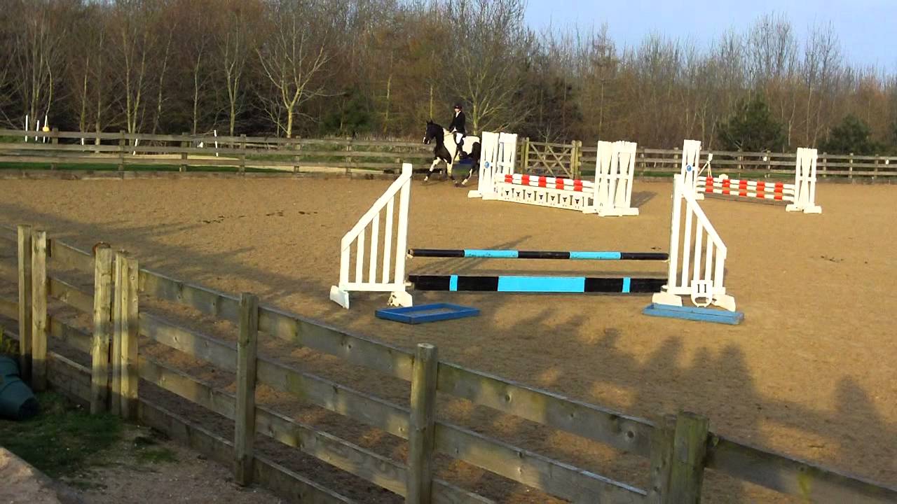 Showjumping At Eland Lodge - YouTube