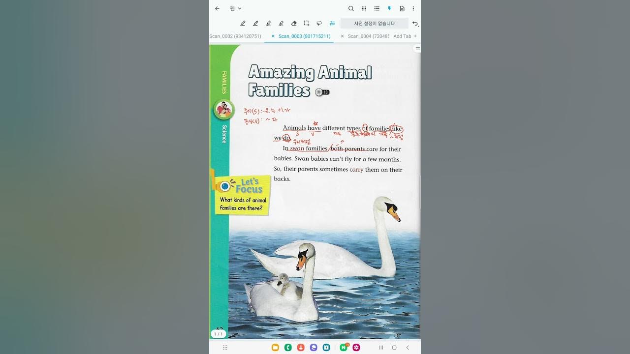 Subject Link Starter L1 [Lesson 6] Amazing Animal Families - YouTube