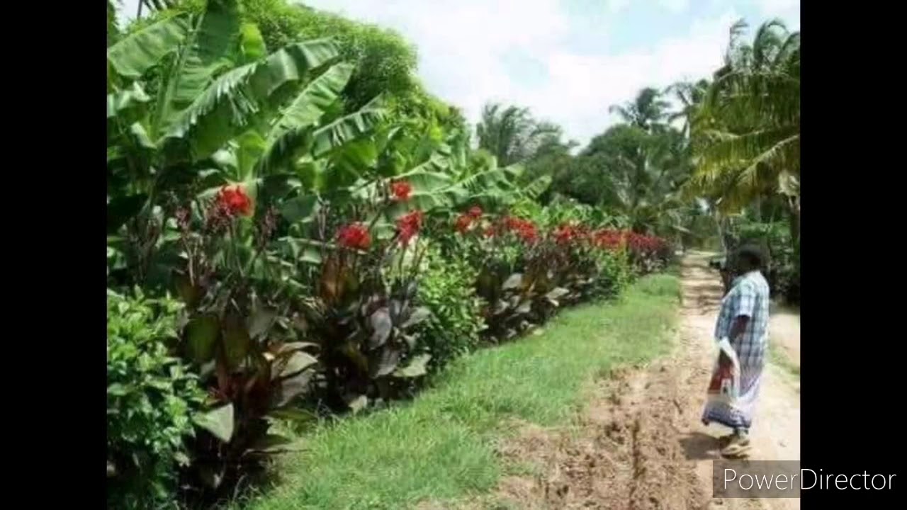 Beeraha janaale - YouTube