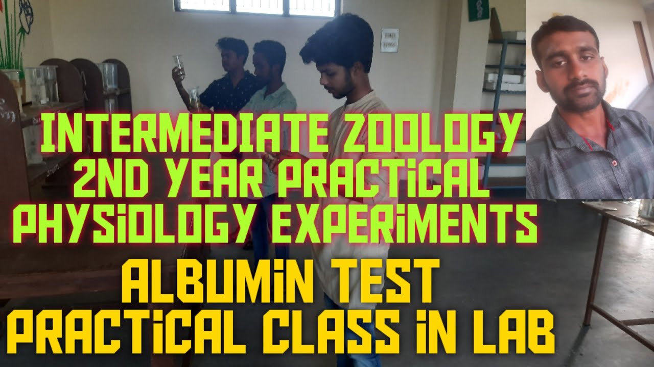 Physiology Experiments Albumin test practical class in lab INTERMEDIATE ...