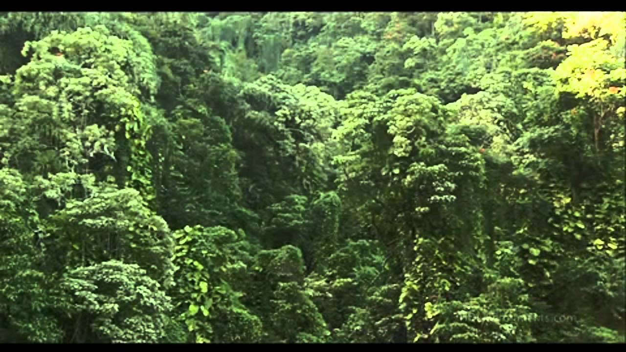 36 - Inside & Sync24 - Replicant (video) - YouTube Music