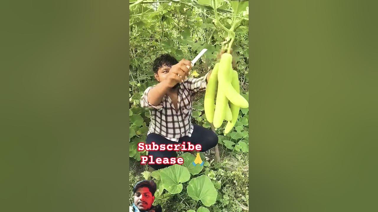 #kishan #funny #123kishan #comedy #farming #agriculture #vlog #voiceeffects #kisan #duet - YouTube