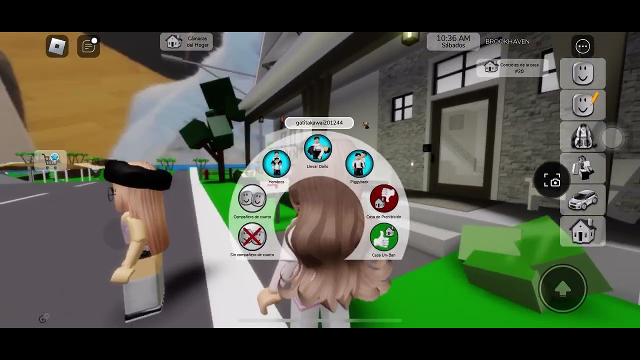 Primer video - YouTube