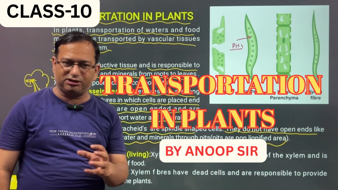 TRANSPORTATION IN PLANTS | LIFE PRECESSES | CLASS -10 | BY ANOOP SIR ...