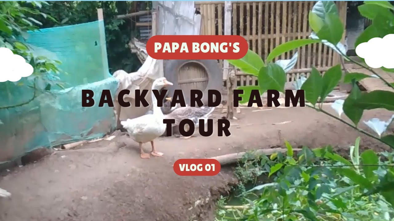 VLOG 01 | BACKYARD FARM TOUR - YouTube