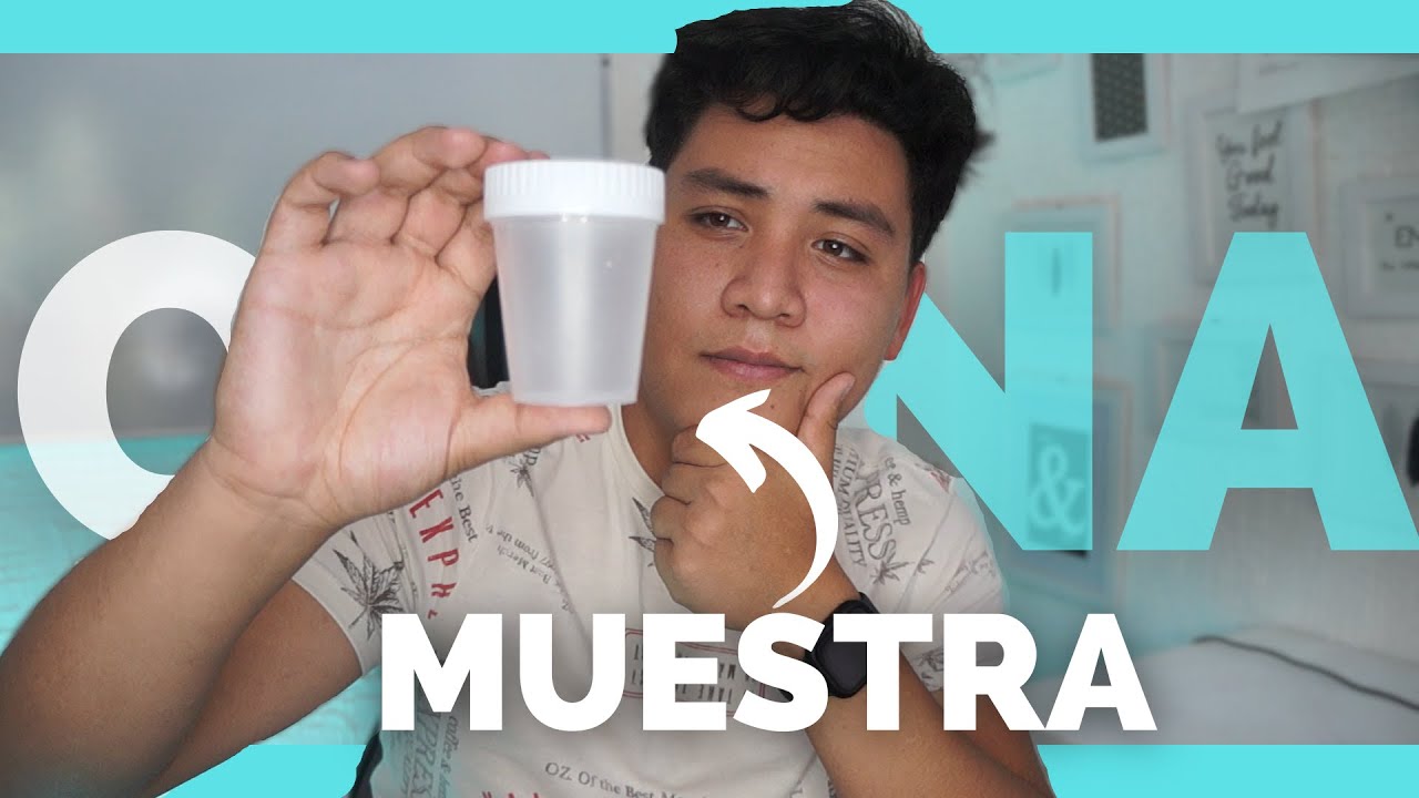 ¿Como TOMAR una MUESTRA de ORINA | Examen General de Orina ...