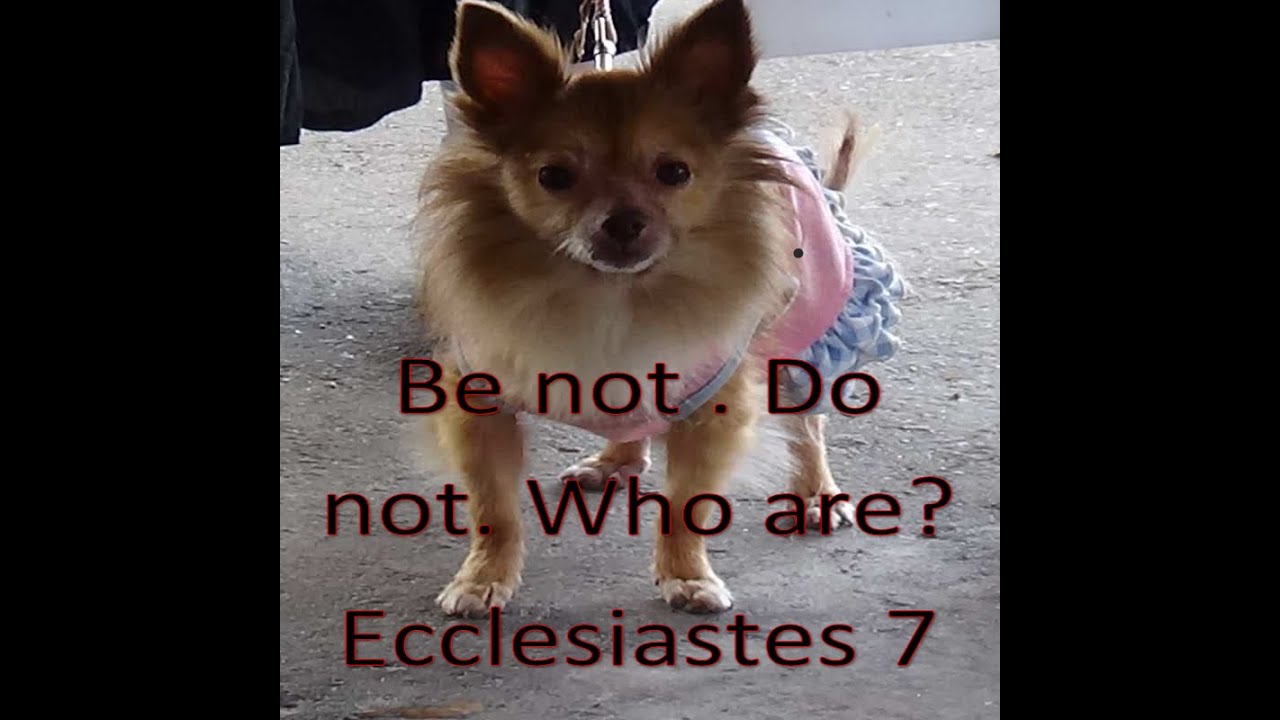 Be not Do not Who are? Ecclesiastes 7 - YouTube