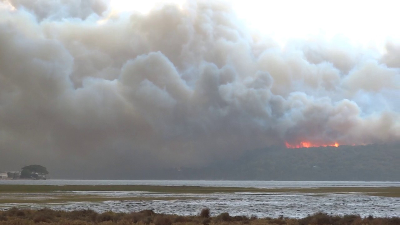 Knysna: Western Head burns - YouTube