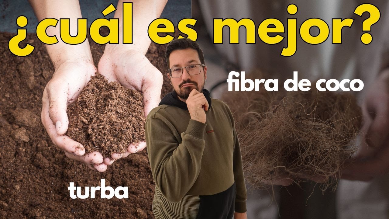 ¿Turba o fibra de coco? 🥥 - YouTube