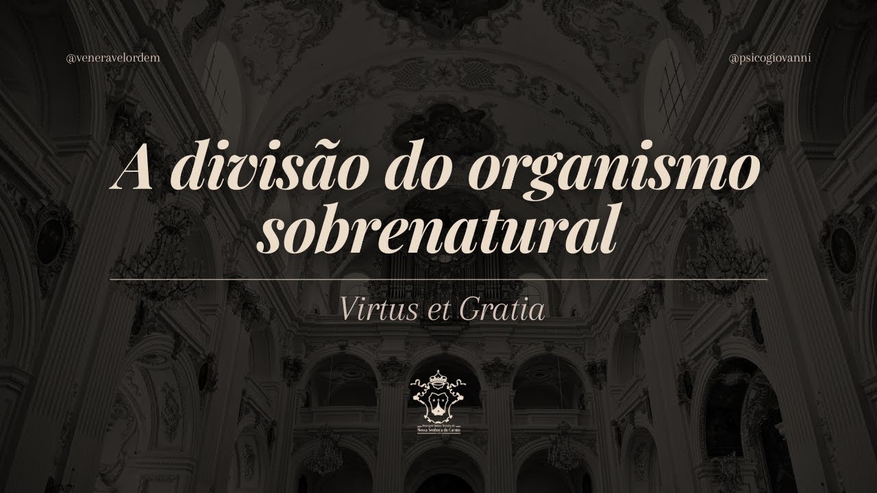 PROGRAMA VIRTUS ET GRATIA | A divisão do organismo sobrenatural - YouTube