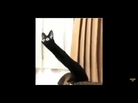 this is extremly cursed (original video by LT felix) - YouTube