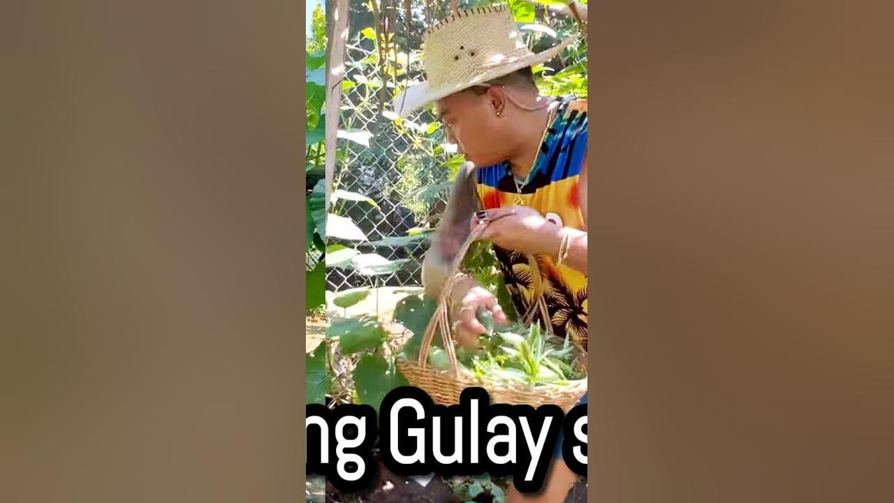 Harvest ng Gulay sa Farm. - YouTube