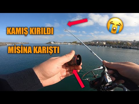 Karadeniz'de Kıyıdan Spin Takım İle Zargana Avı