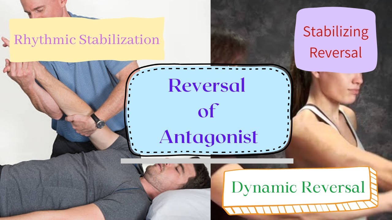 PNF technique- Reversal of Antagonist with notes - YouTube