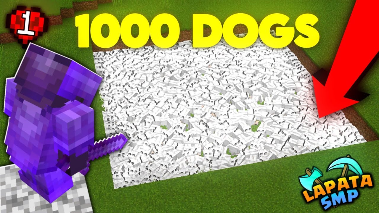WHY I BREED 1000 DOGS In Minecraft Hardcore... @NizGamer @tgpsd1 ...