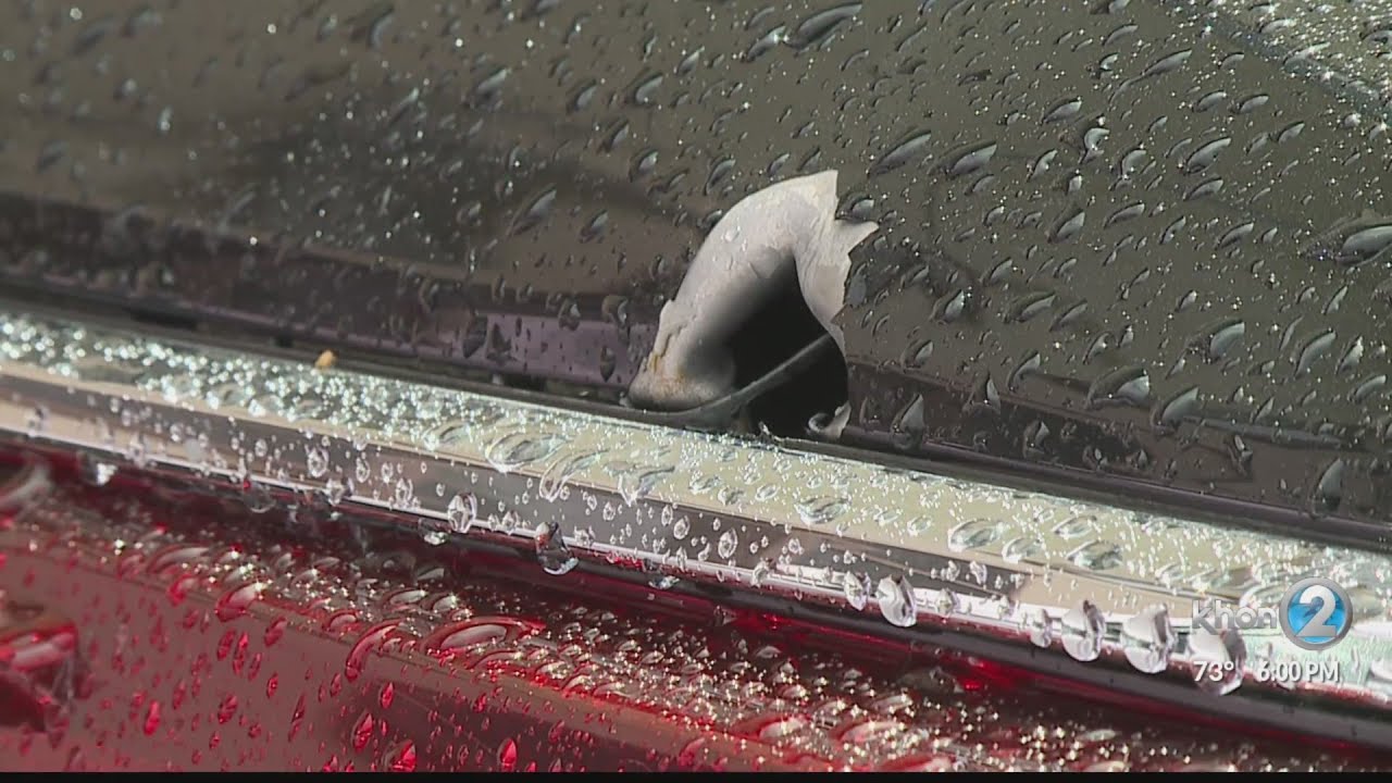 Honolulu man narrowly escapes being shot in botched carjacking - YouTube