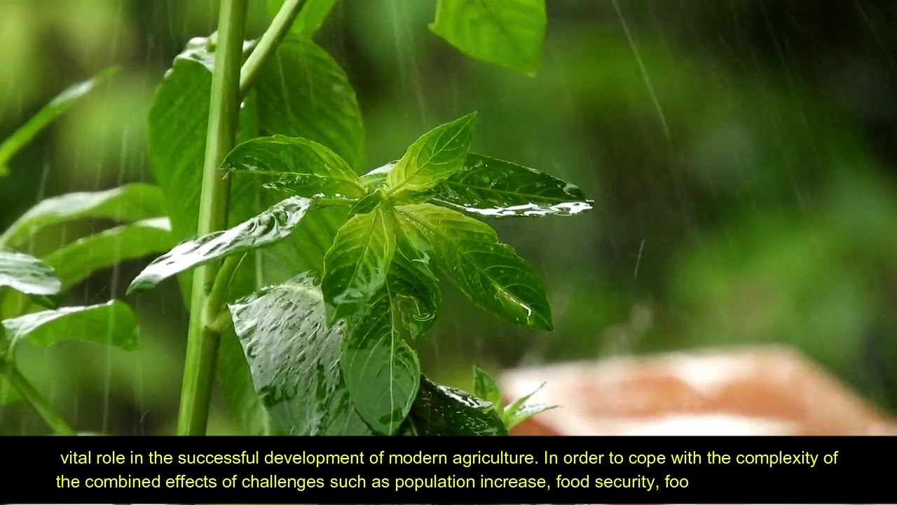 Integrated Plant Breeding Strategies for Harmony between Modern ...