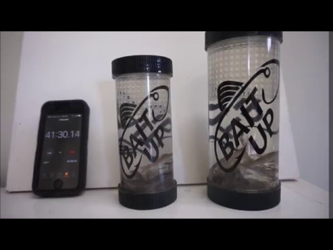 Bait Up | How Long Does Bait Up Containers Keep Minnows Alive? - YouTube