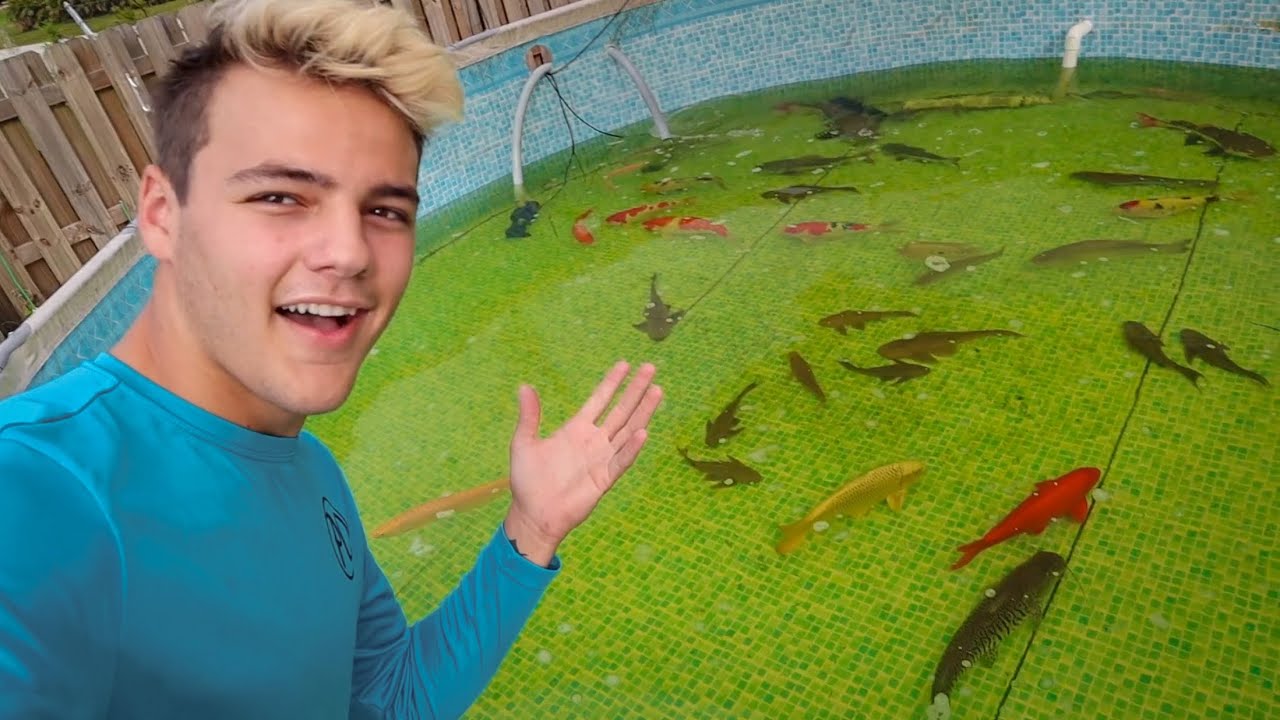 ULTIMATE BACKYARD FISH COLLECTION!!! - YouTube