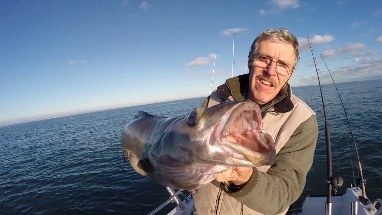 Robbing an offshore Bank of fish "..Ft-"THE COOK UP !!" - YouTube