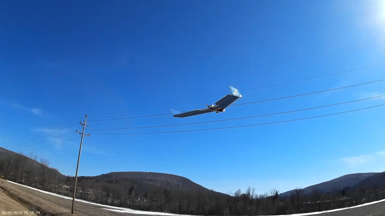 HK Bonsai - AKA Mini Pop Wing - YouTube