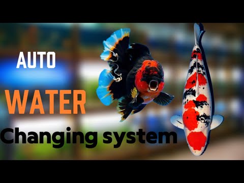 Auto water change system (အလိုလျောက်ငါးကန်ရေလှယ်စနစ်)part I - YouTube