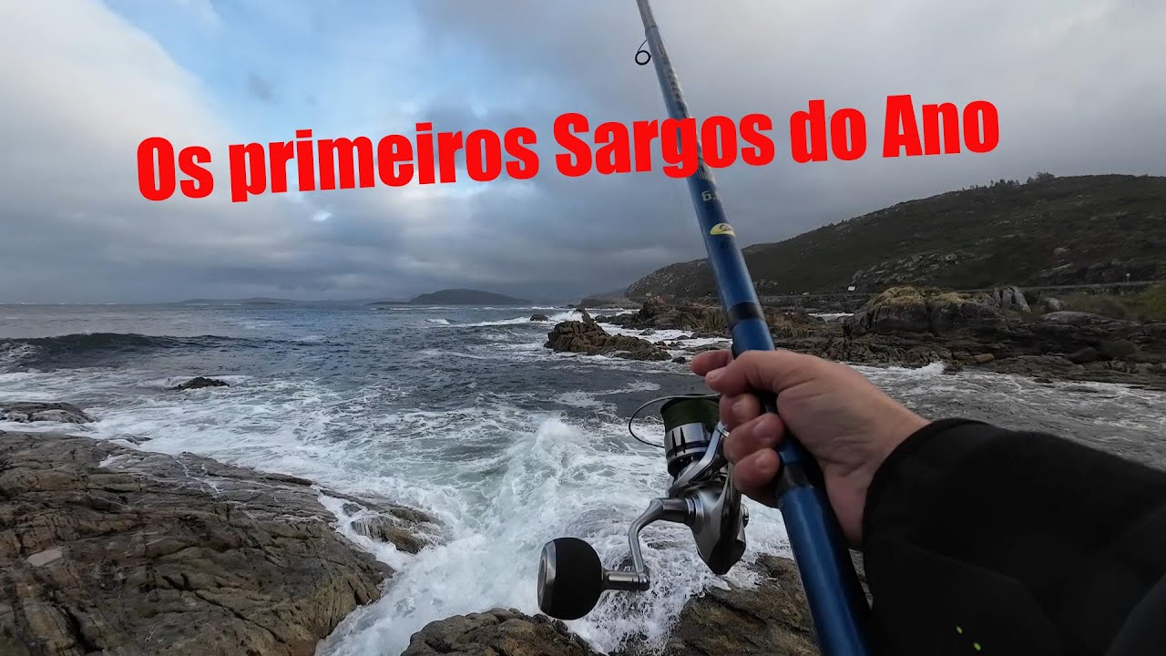 Os primeiros Sargos do Ano - YouTube