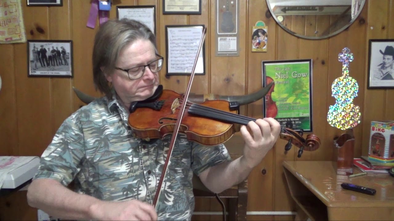 Day 206 - Sally Goodin (366 Fiddle Tunes) - YouTube