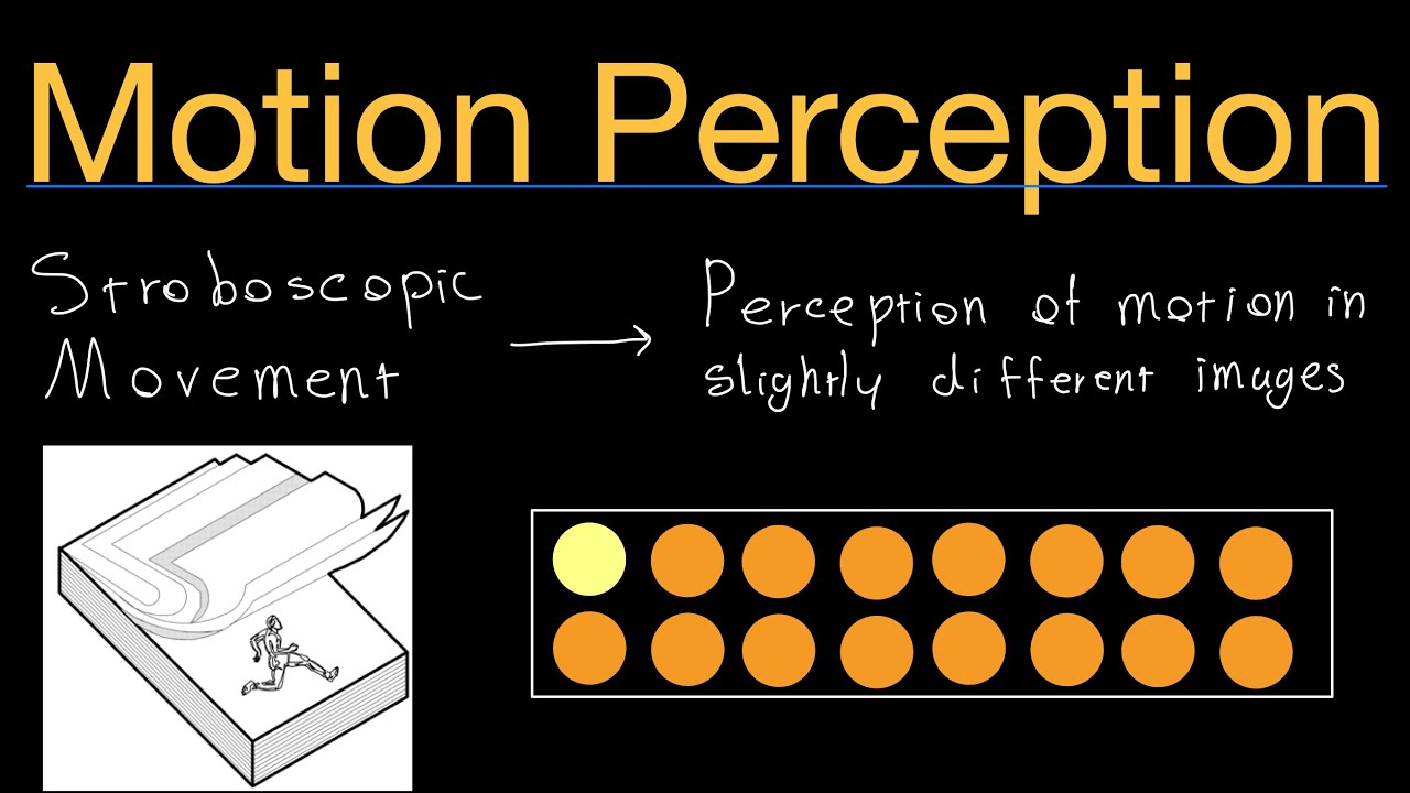 Motion Perception - YouTube