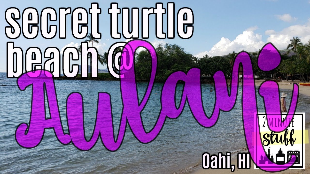 TIPS FOR VISITING AULANI || How to find TURTLES! || Oahu, HI - YouTube