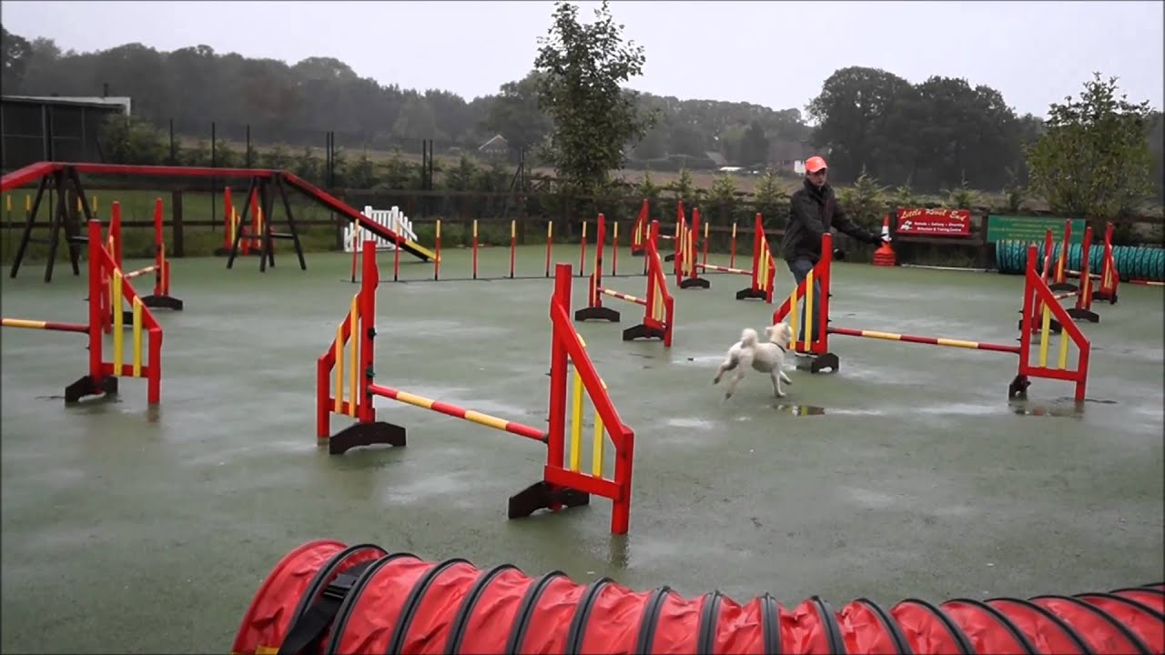 Zazu - Lee Windeatt Training - October 13 - YouTube