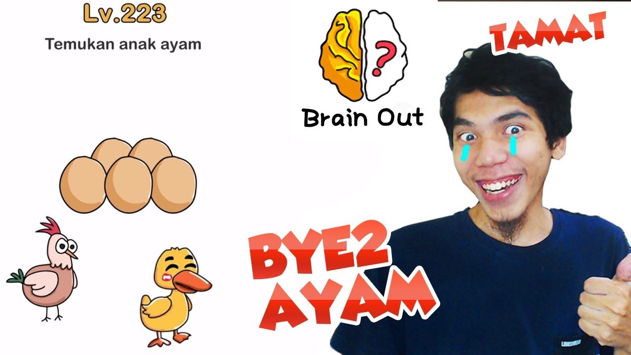 STRESMEN BERHASIL TAMATIN BRAINOUT LEVEL TERAKHIR!!!! - BRAIN OUT #9 ...