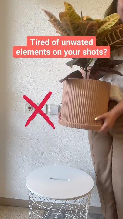 🪴 How to Easily Remove Unwanted Objects from Your Videos with #videoleap | Quick #tutorial - YouTube