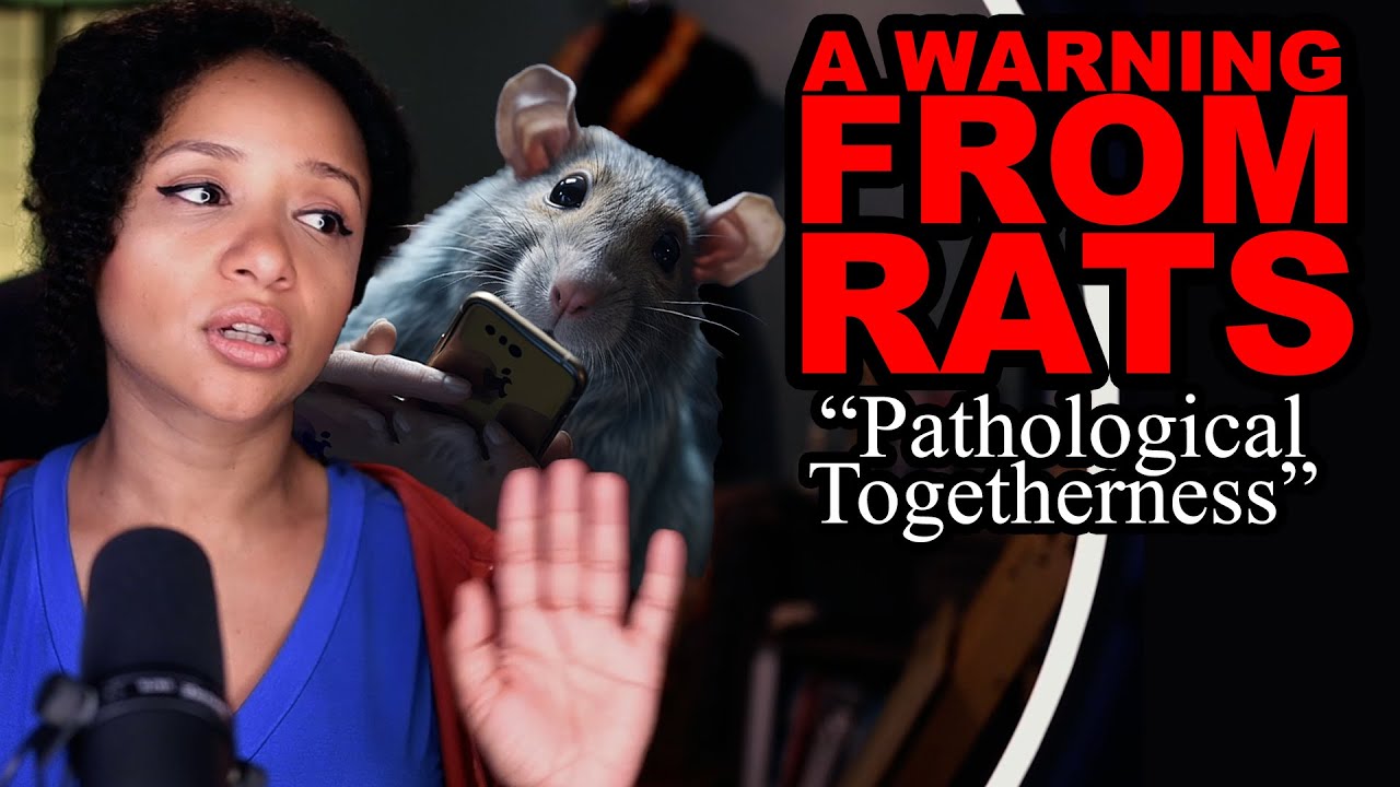 Being Too Connected Hurts Us - Behavioral Sink Experiments and John B ...