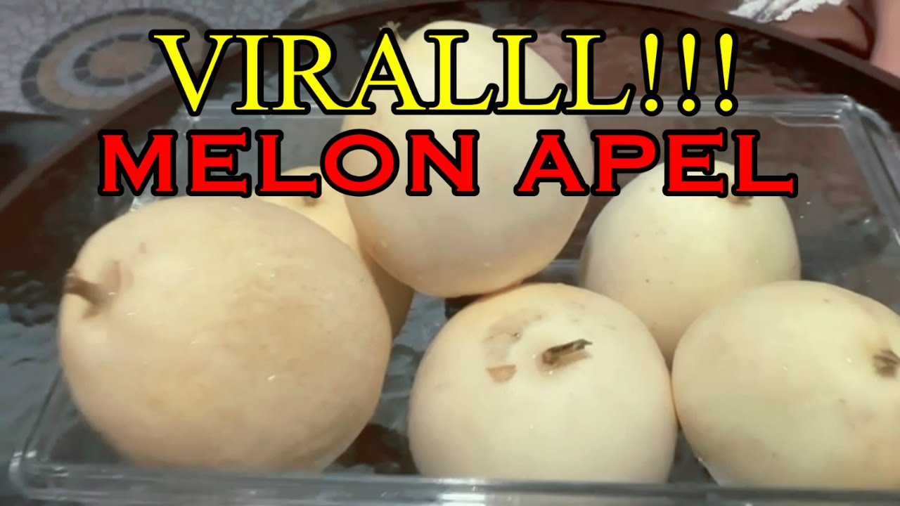 Review Melon Apel - YouTube