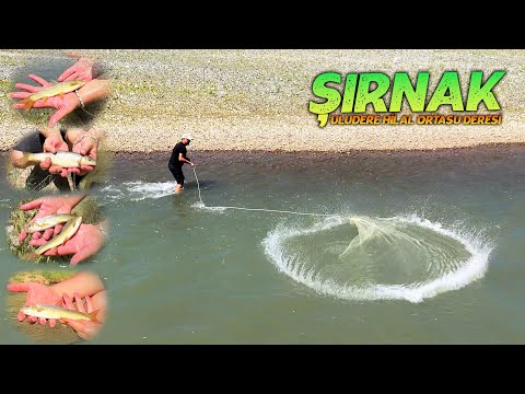 ŞIRNAK BALIK AVI – Uludere'nin Hilal Beldesi'nde Yer Alan Ortasu Deresi'nde Serpmeyle Balık Avladık