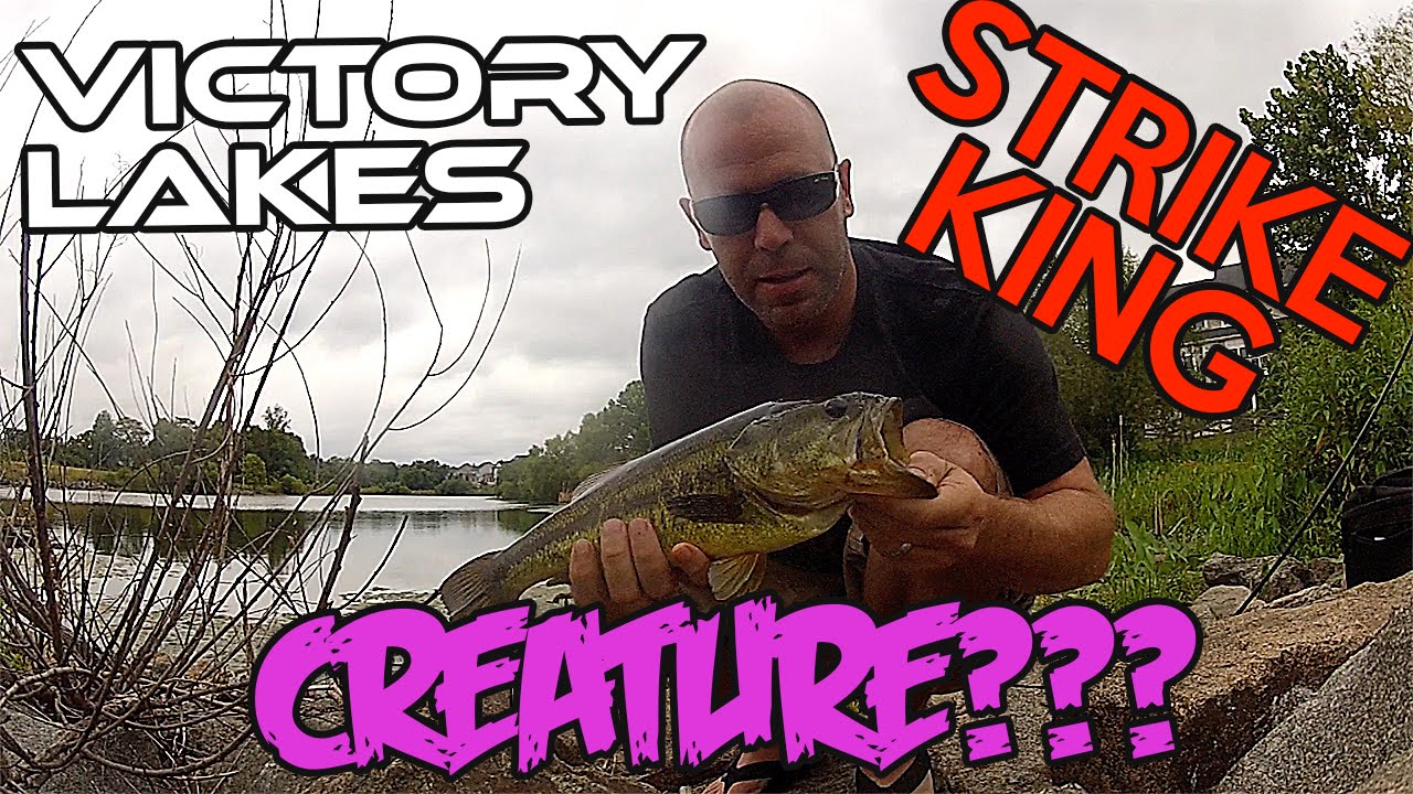 Victory Lakes - Largemouth Bass - Strike King Super Toad - YouTube
