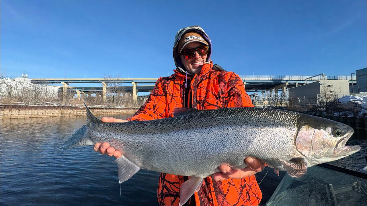 Lake Michigan Giant Steelhead - YouTube