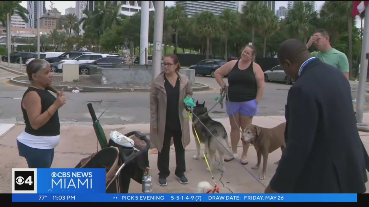 Residents' frustrations grow over Miami Riverwalk safety concerns - YouTube