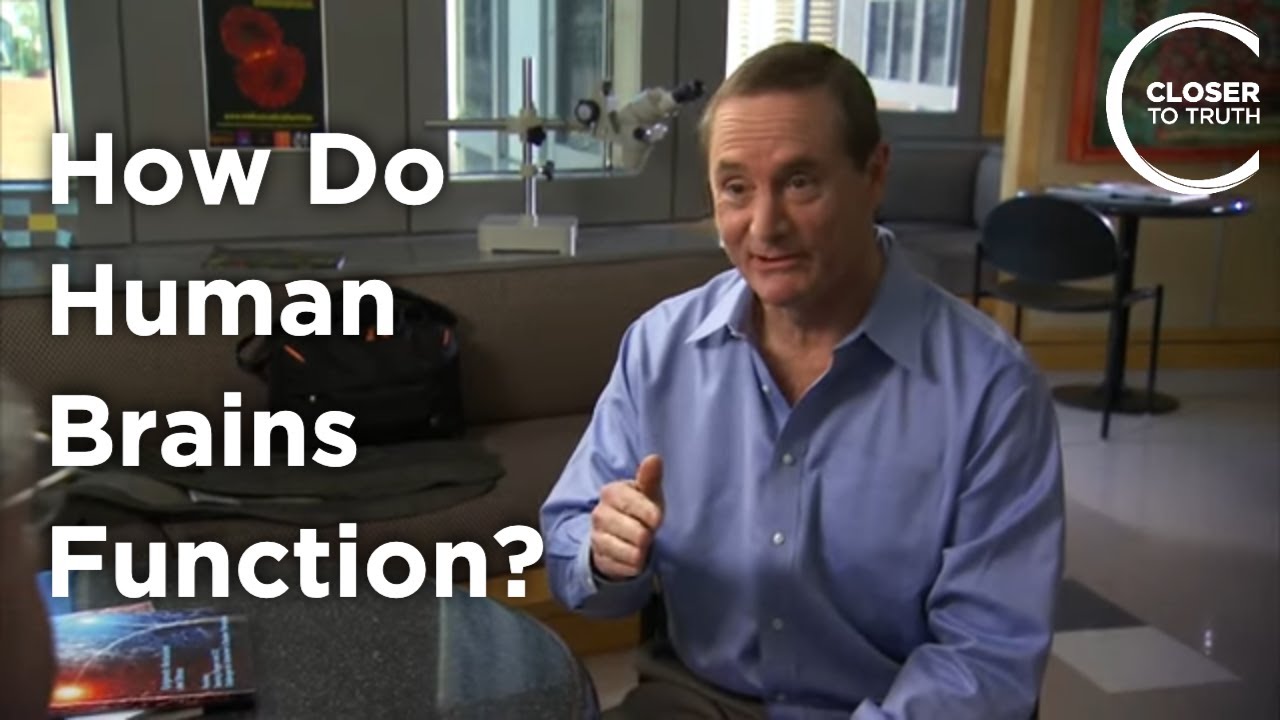 Robert Bilder - How do Human Brains Function? - YouTube