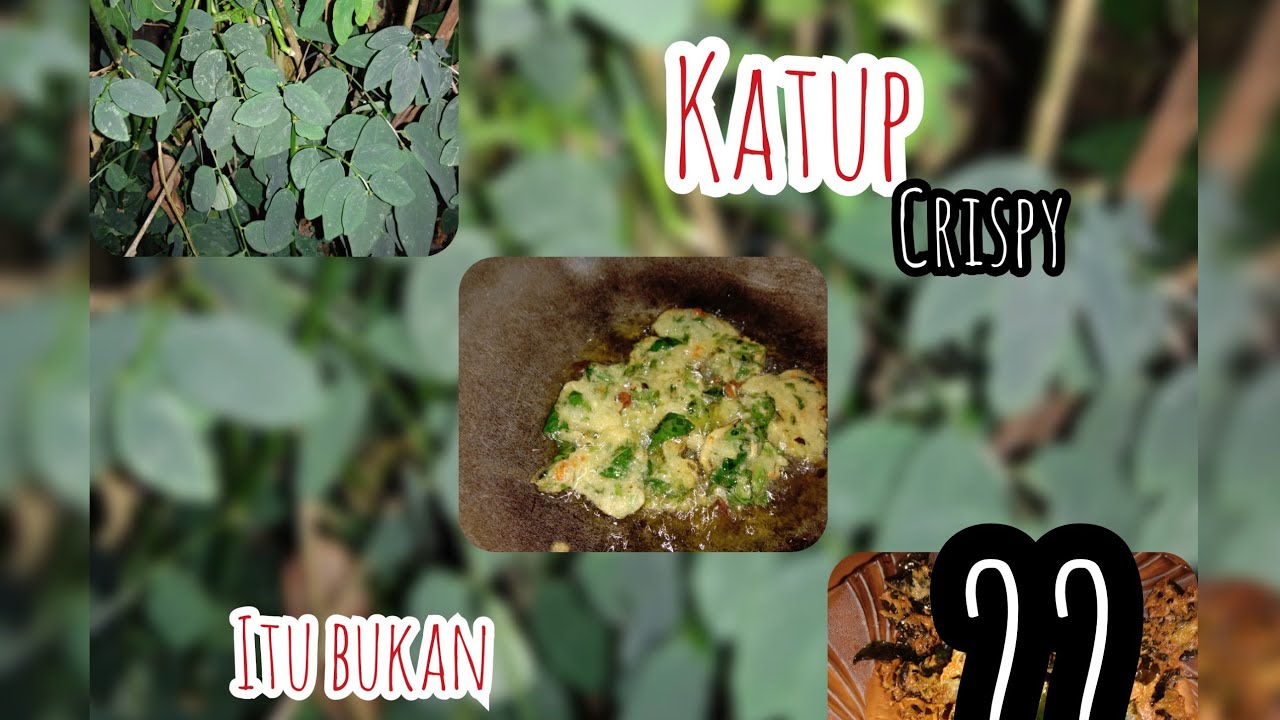 Daun Katuk Crispy || Ini dia Resepnya... - YouTube